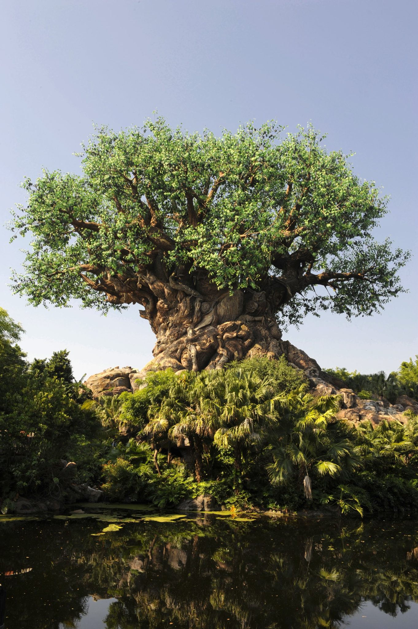 Nature - Disney Social Responsibility
