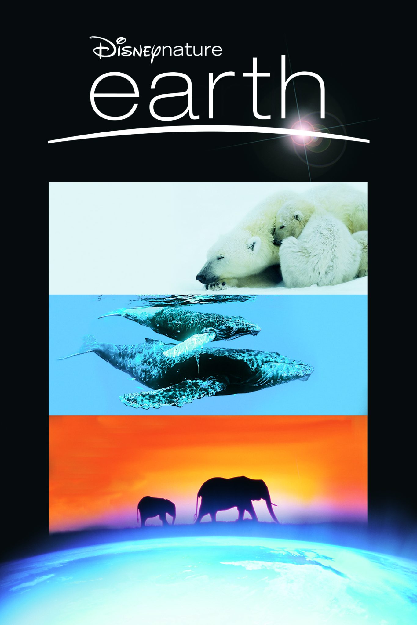 Nature - Disney Impact