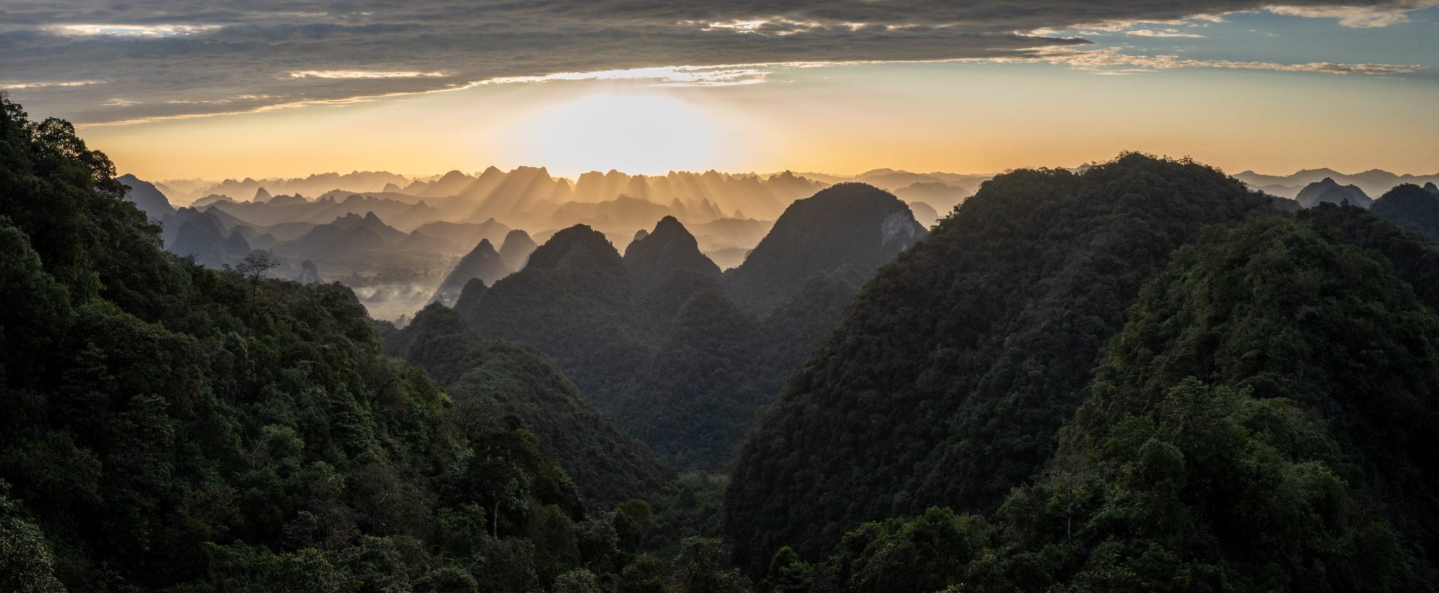 Nature - Disney Social Responsibility