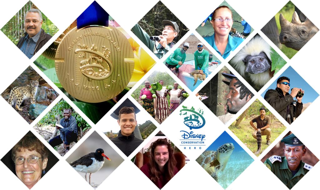 Nature - Disney Impact