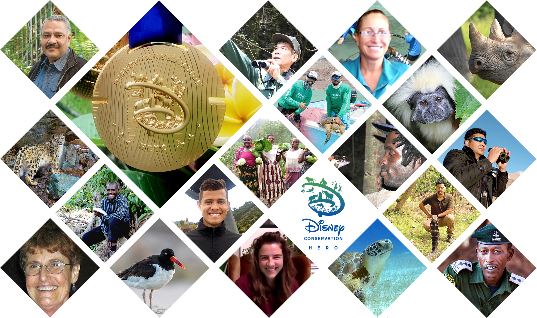 Nature - Disney Impact