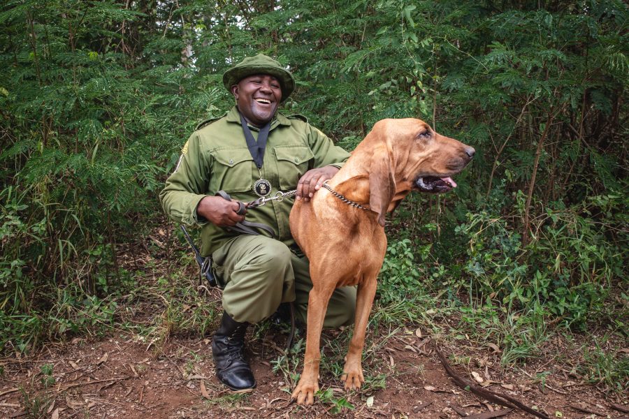 Nature - Disney Impact