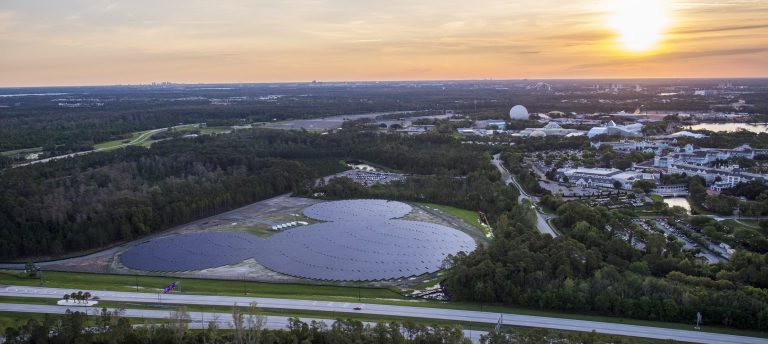 Environmental Sustainability - Disney Impact