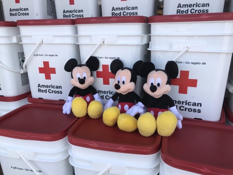 Social Impact - Disney Impact