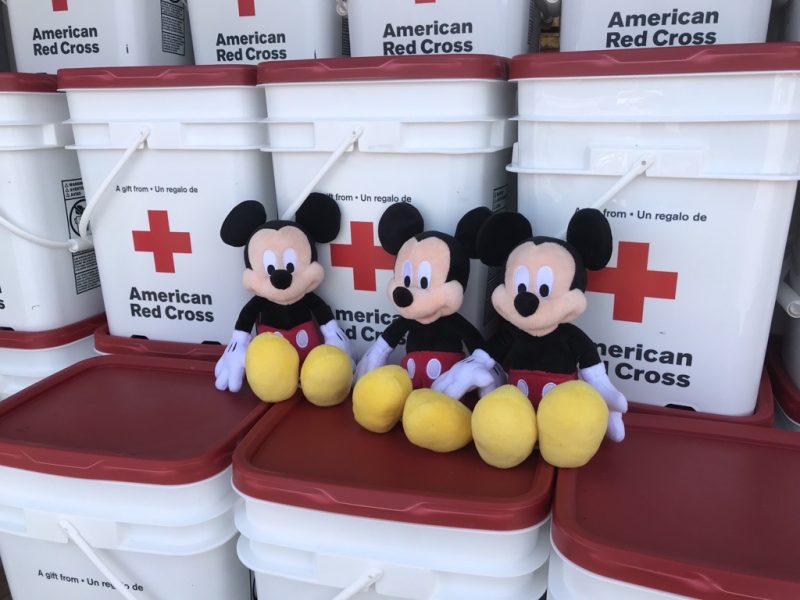 Social Impact - Disney Impact