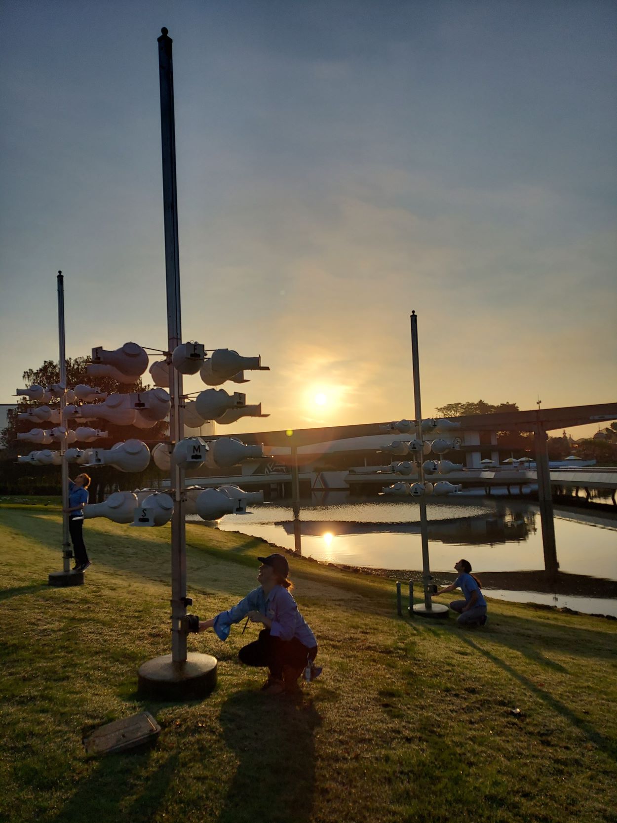 Nature - Disney Social Responsibility