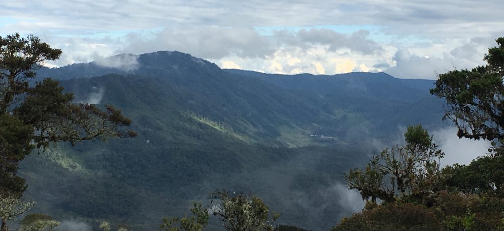 Environmental Sustainability - Disney Impact