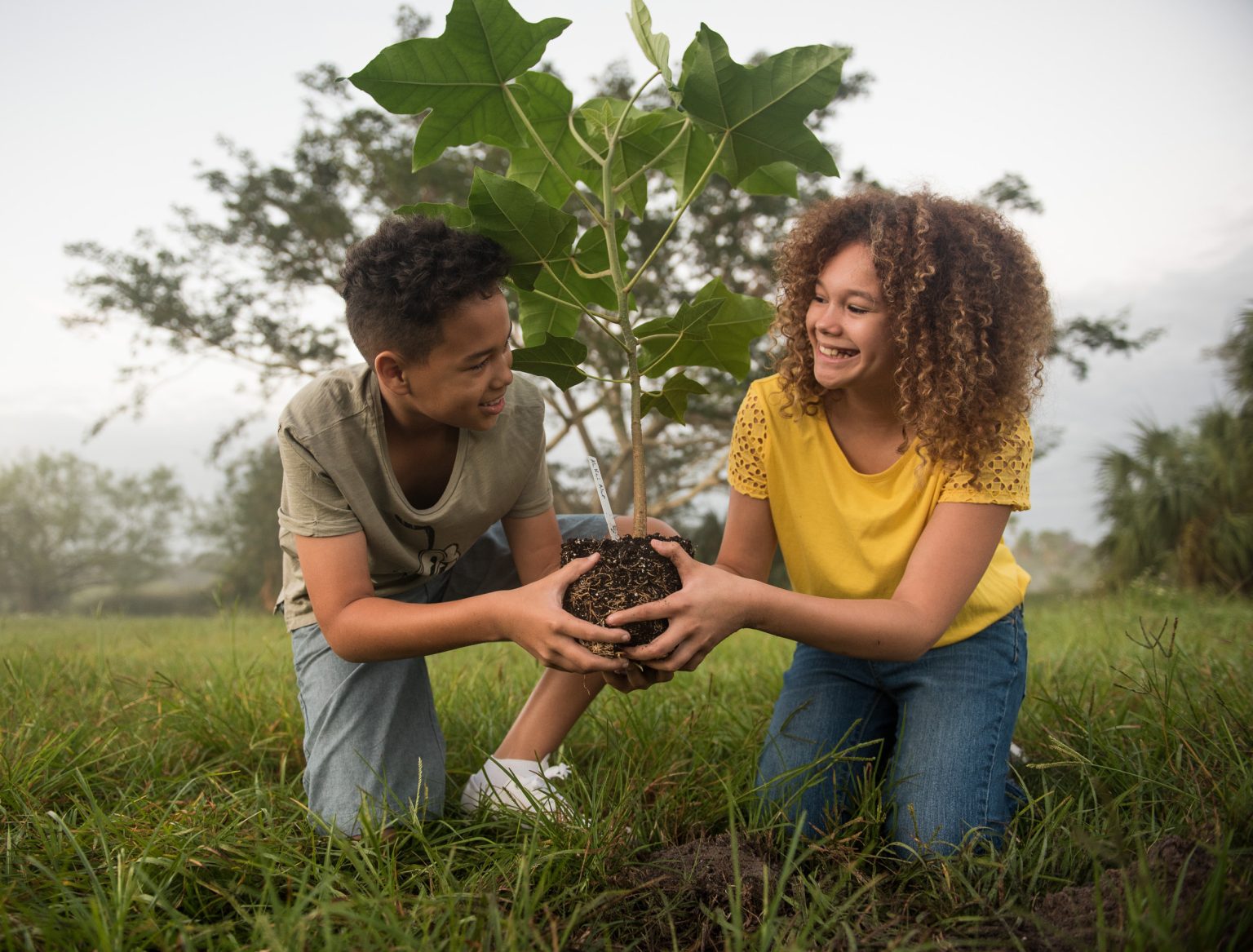 Nature - Disney Impact