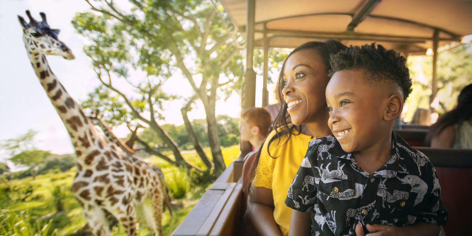 Environmental Sustainability - Disney Impact