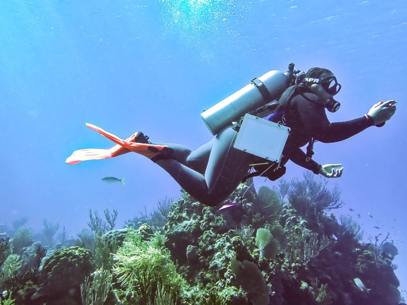 Nature - Disney Social Responsibility