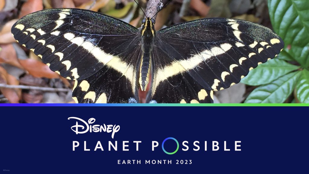 Disney Expands its Longstanding Conservation Legacy in Honor of Disney ...