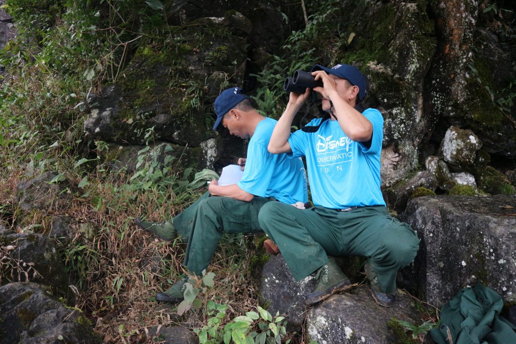 Disney Expands its Longstanding Conservation Legacy in Honor of Disney ...