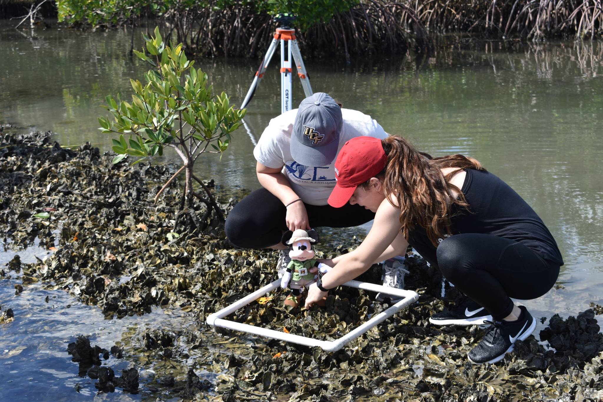 Disney Expands its Longstanding Conservation Legacy in Honor of Disney ...