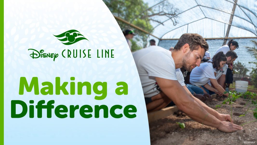 Disney Cruise Line Inspires Children in The Bahamas Through Backyard ...