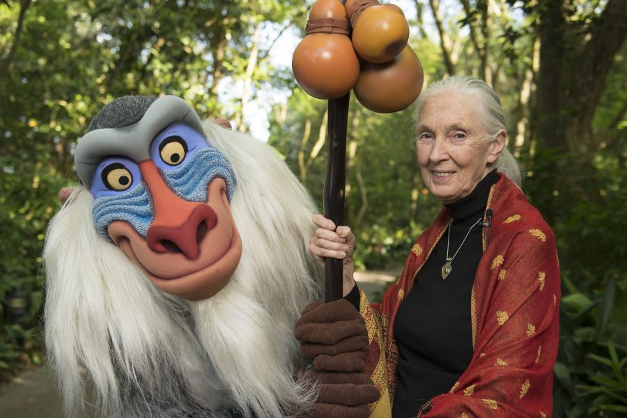 Disney Social Responsibility
