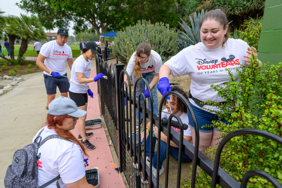 Volunteering - Disney Impact