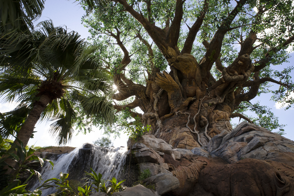 Environmental Sustainability - Disney Impact