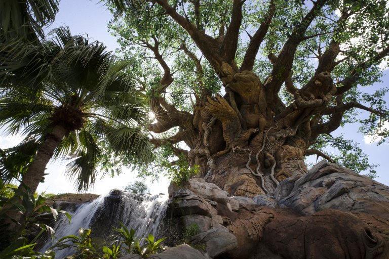 Environmental Sustainability - Disney Impact