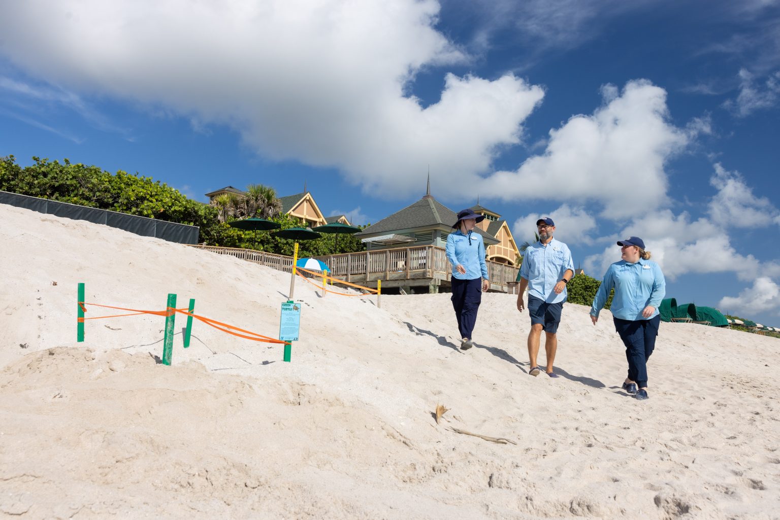 Disney Tour de Turtles Spotlights Sea Turtle Conservation