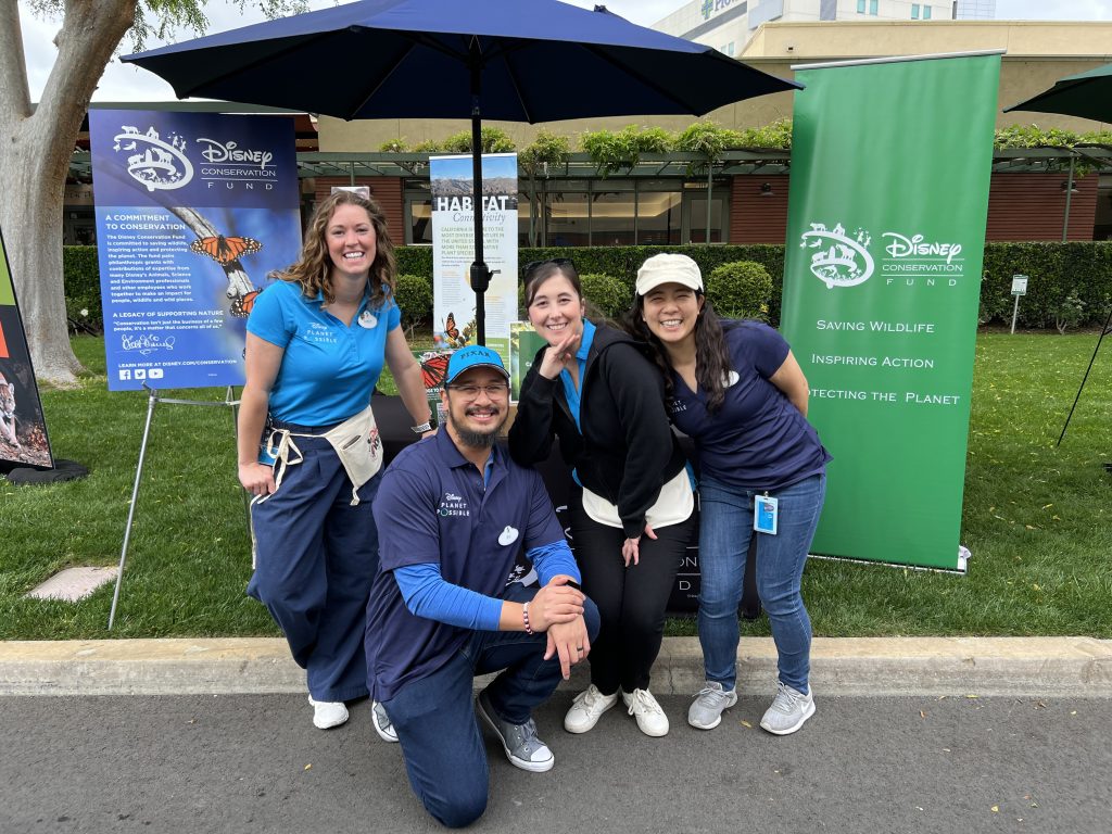 Disney VoluntEARS Spend 1,000+ Hours for Migrating Monarchs