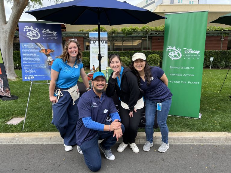 Disney VoluntEARS Spend 1,000+ Hours for Migrating Monarchs