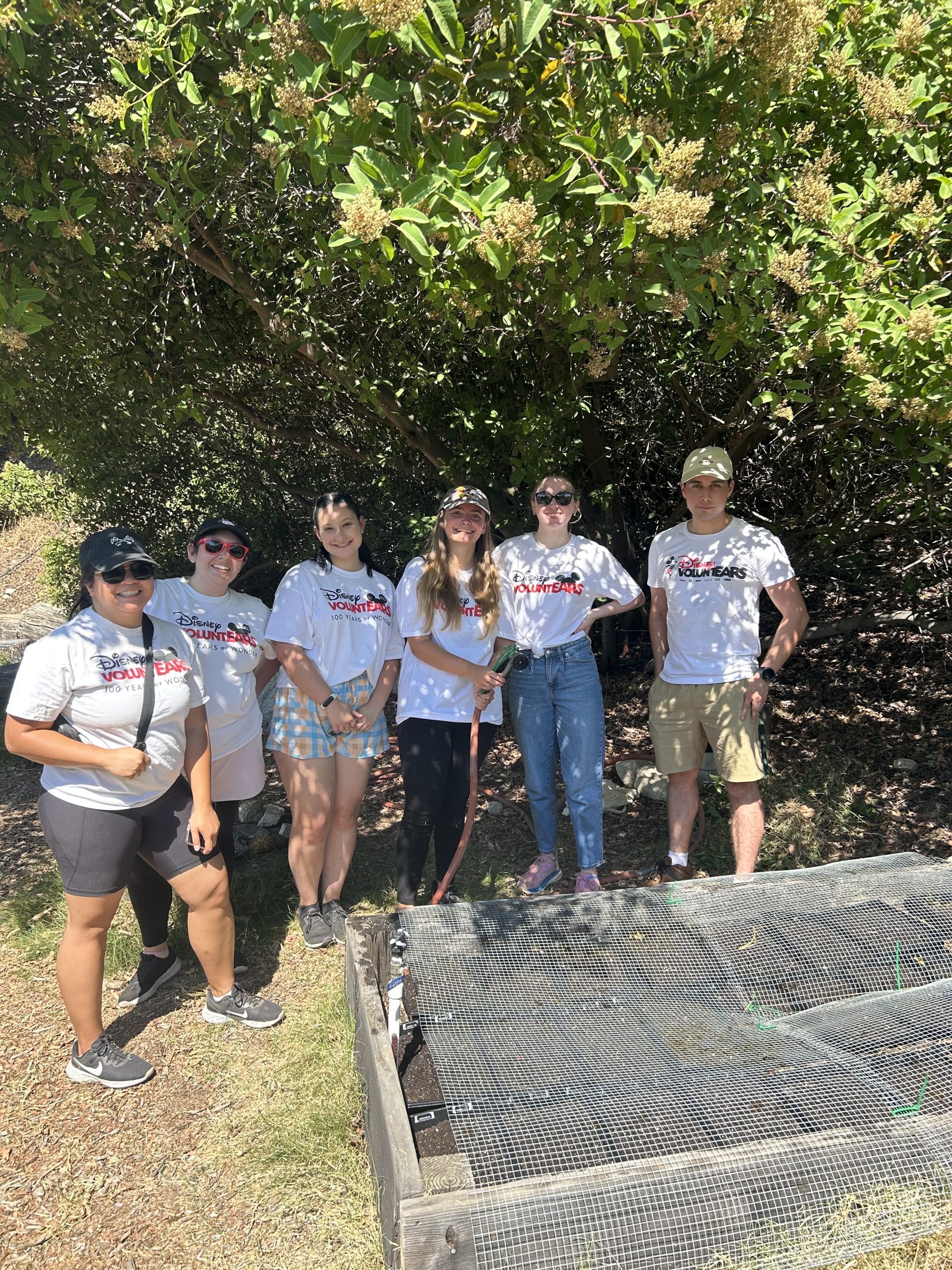 Disney VoluntEARS Spend 1,000+ Hours for Migrating Monarchs