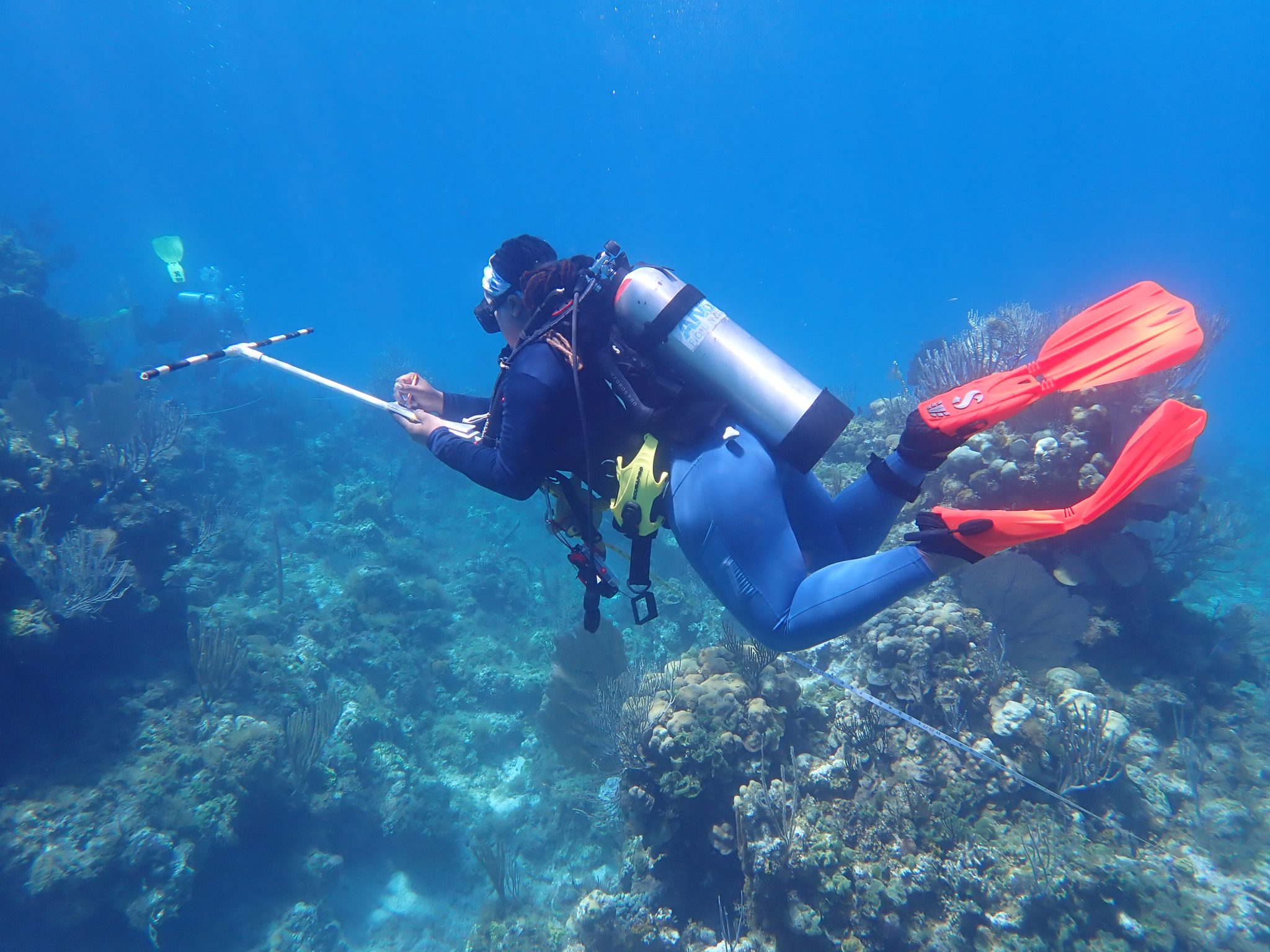 Nature - Disney Impact