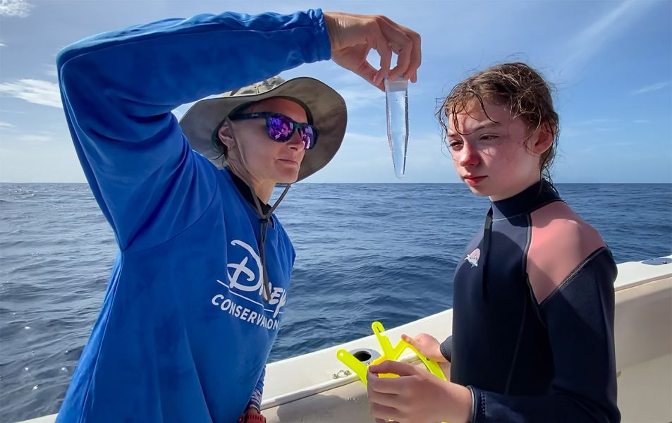 Environmental Sustainability - Disney Impact