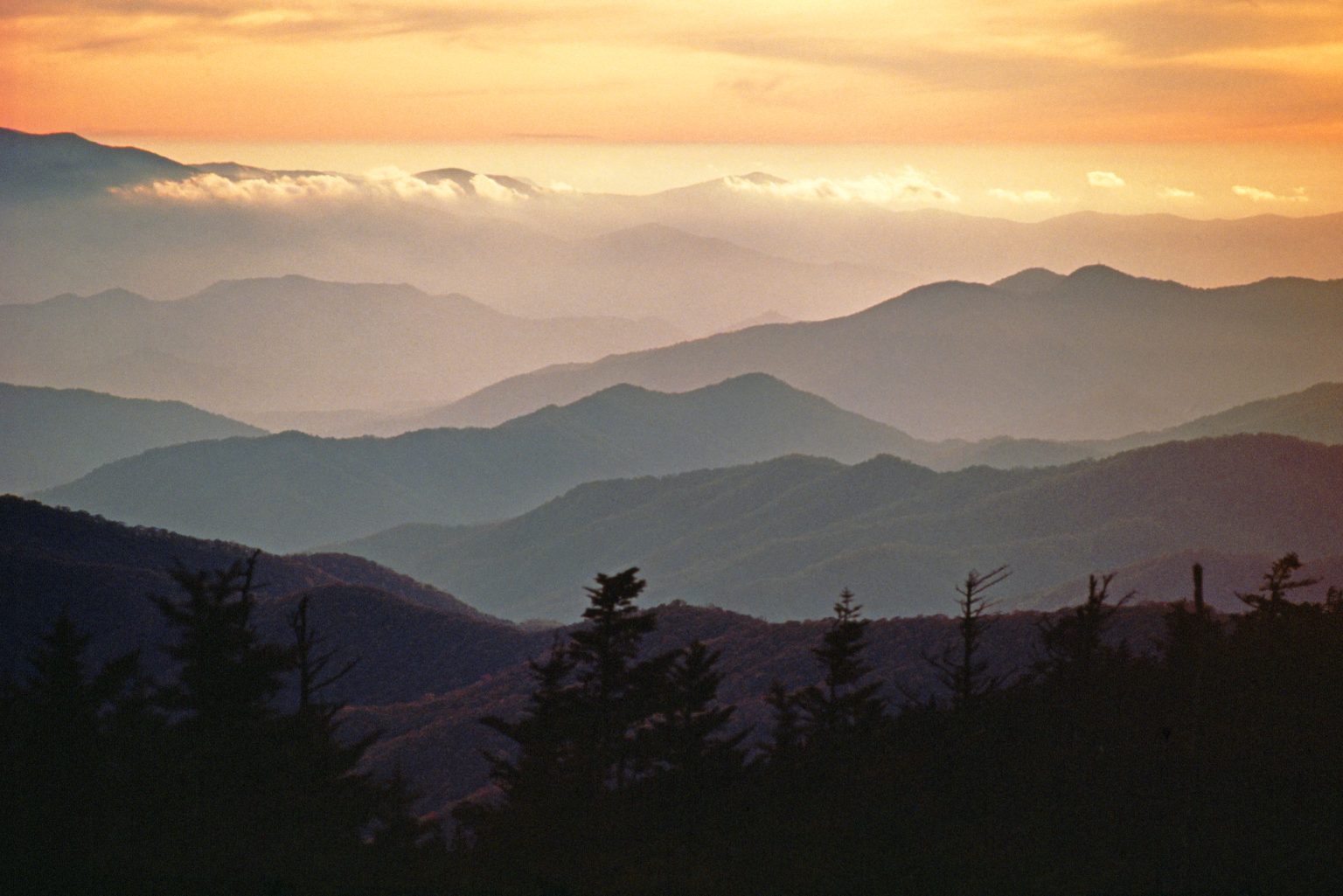 Environmental Goals - Disney Impact